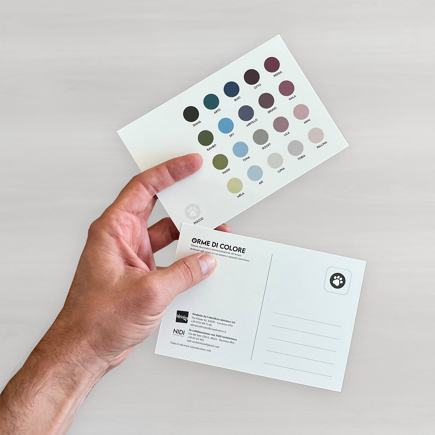 CARTOLINA COLORI – ORME DI COLORE